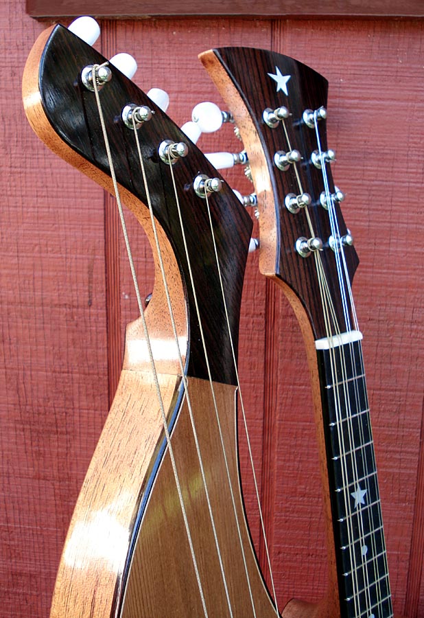 Dancing Star Harp Mandolin at Harp Guitar Music