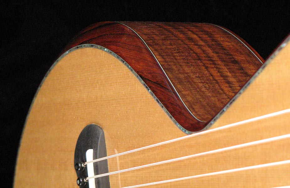 Duane Noble Custom Harp Guitar at Harp Guitar Music